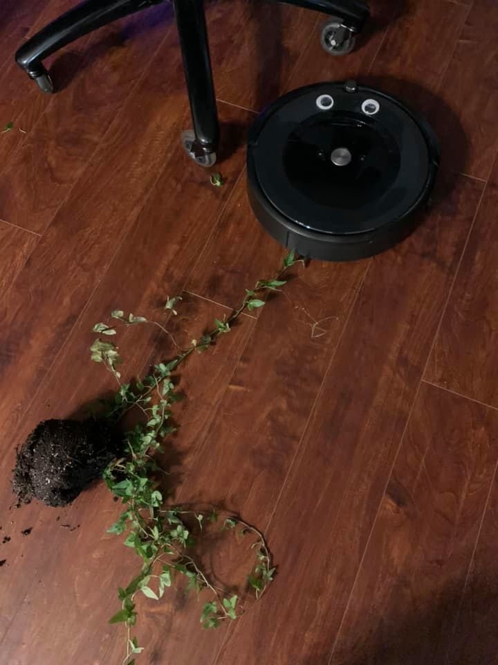 Roomba of Doom (some chapters illustrated) - Chapter 56 ...